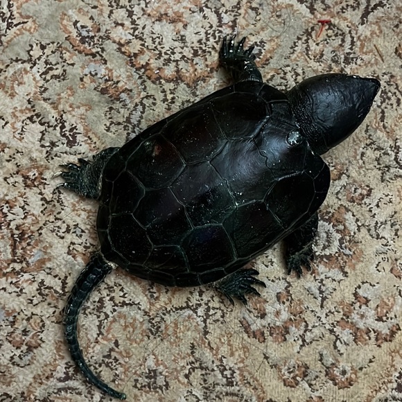 Vintage | Toys | Vintage99 Snapping Turtle Plastic Heavyweight Green ...